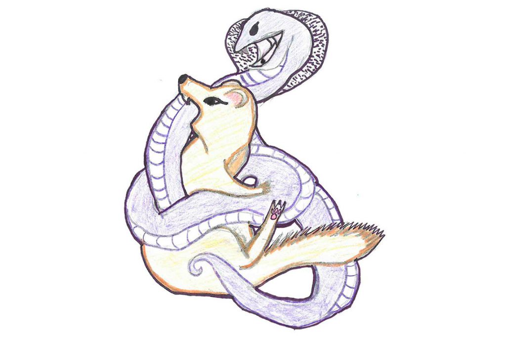 An Eleven-year-old Encounters ‘The Garden of Rikki Tikki Tavi’ – Encore ...