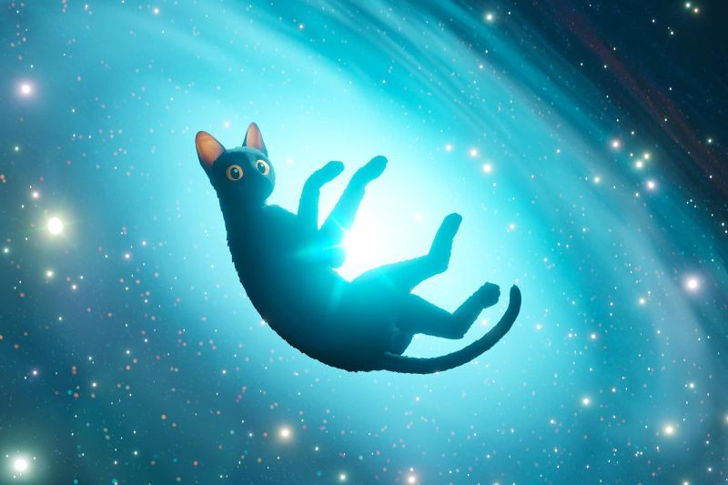 Flow in Concert with the Seattle Symphony – Encore Spotlight